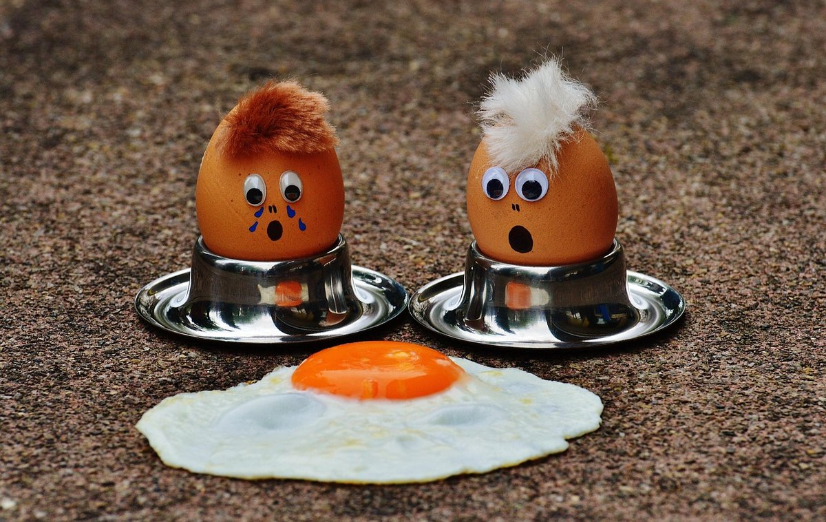 Identify British Bird Eggs with Our Ultimate Chart and Guide - Watch ...