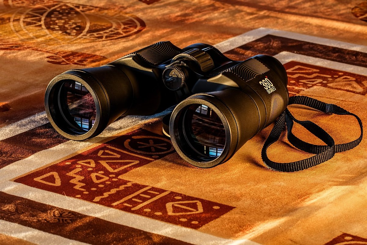 Mastering Observation Notes in the Field: Tips and Techniques - Watch ...